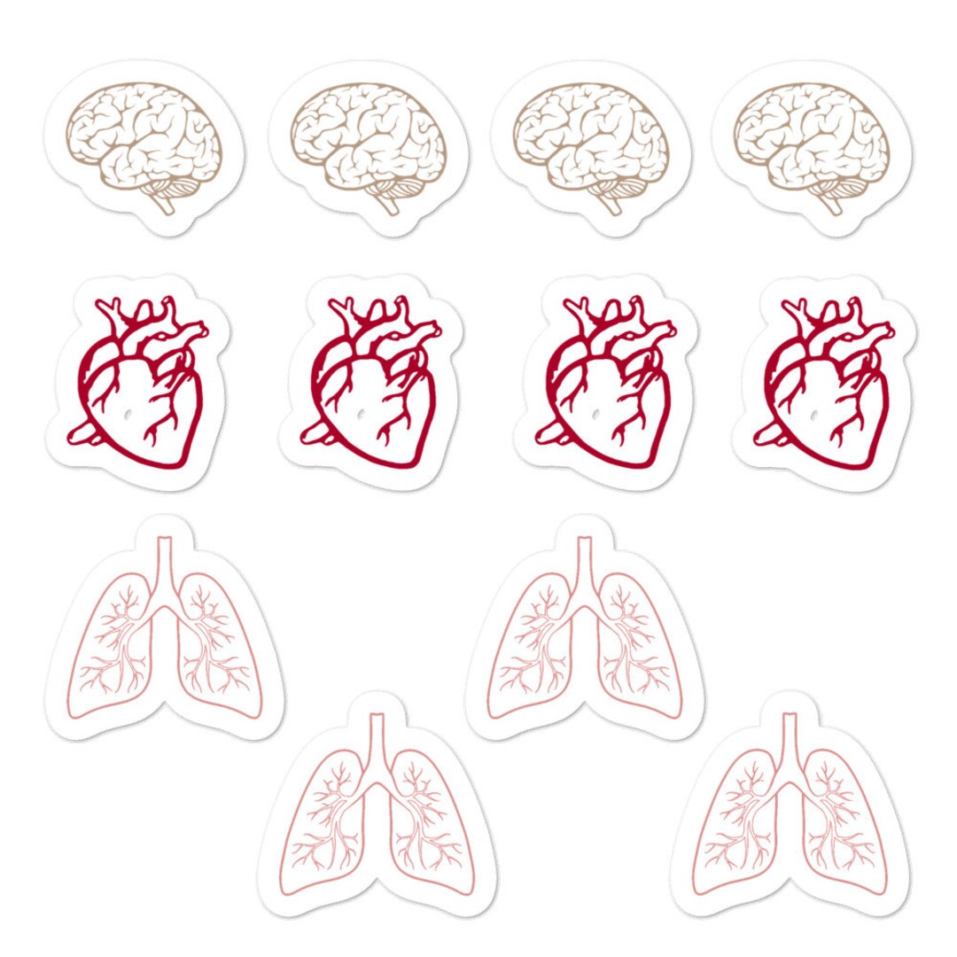 Anatomy Sticker Bundle | Anatomical Heart | Anatomical Lungs ...