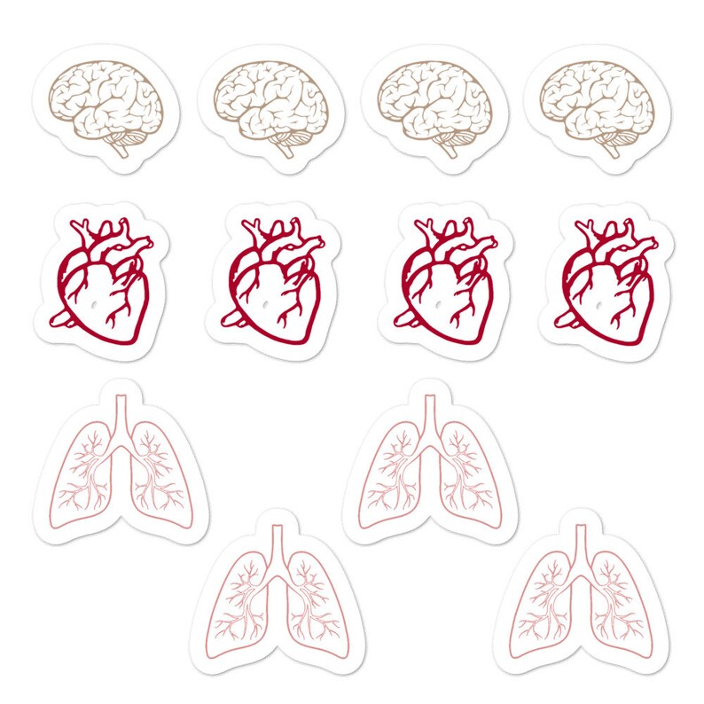 Anatomy Sticker Bundle Anatomical Heart Anatomical Lungs Anatomical ...