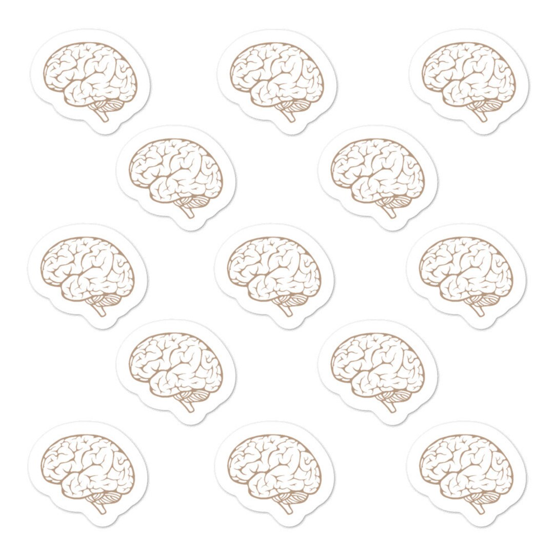 Neurology Sticker Bundle Anatomical Brain Neuro Medical - Etsy