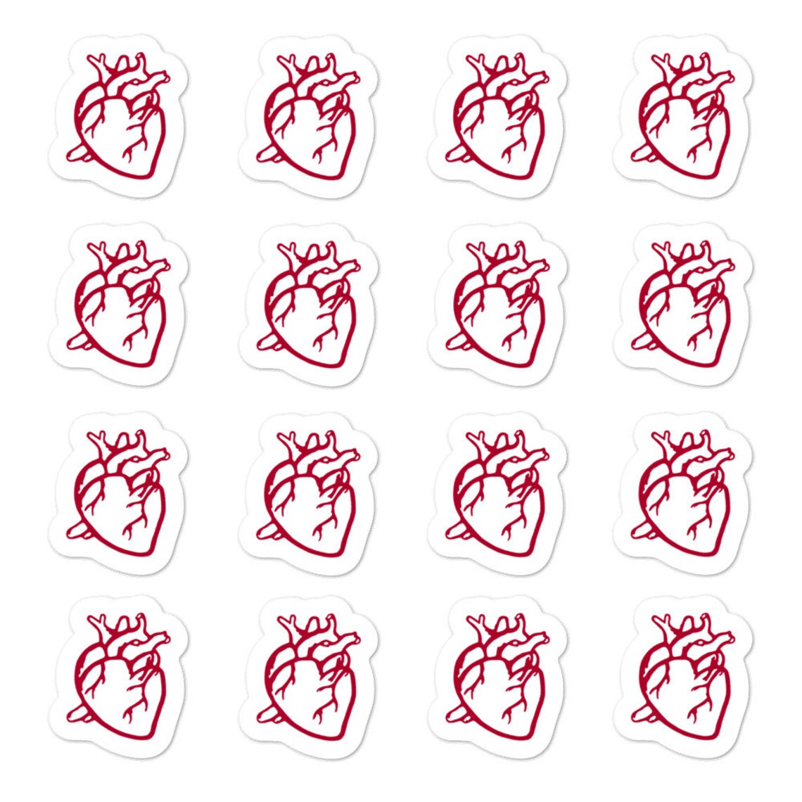 Cardiology Heart Sticker Bundle Anatomical Heart Cardiac Surgery Cath ...