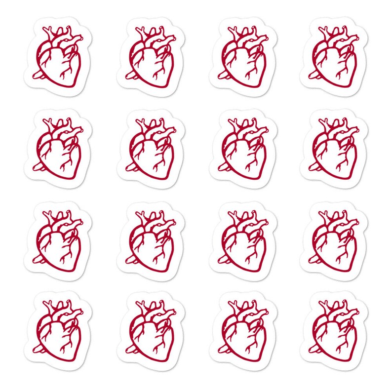 Cardiology Heart Sticker Bundle Anatomical Heart Cardiac - Etsy