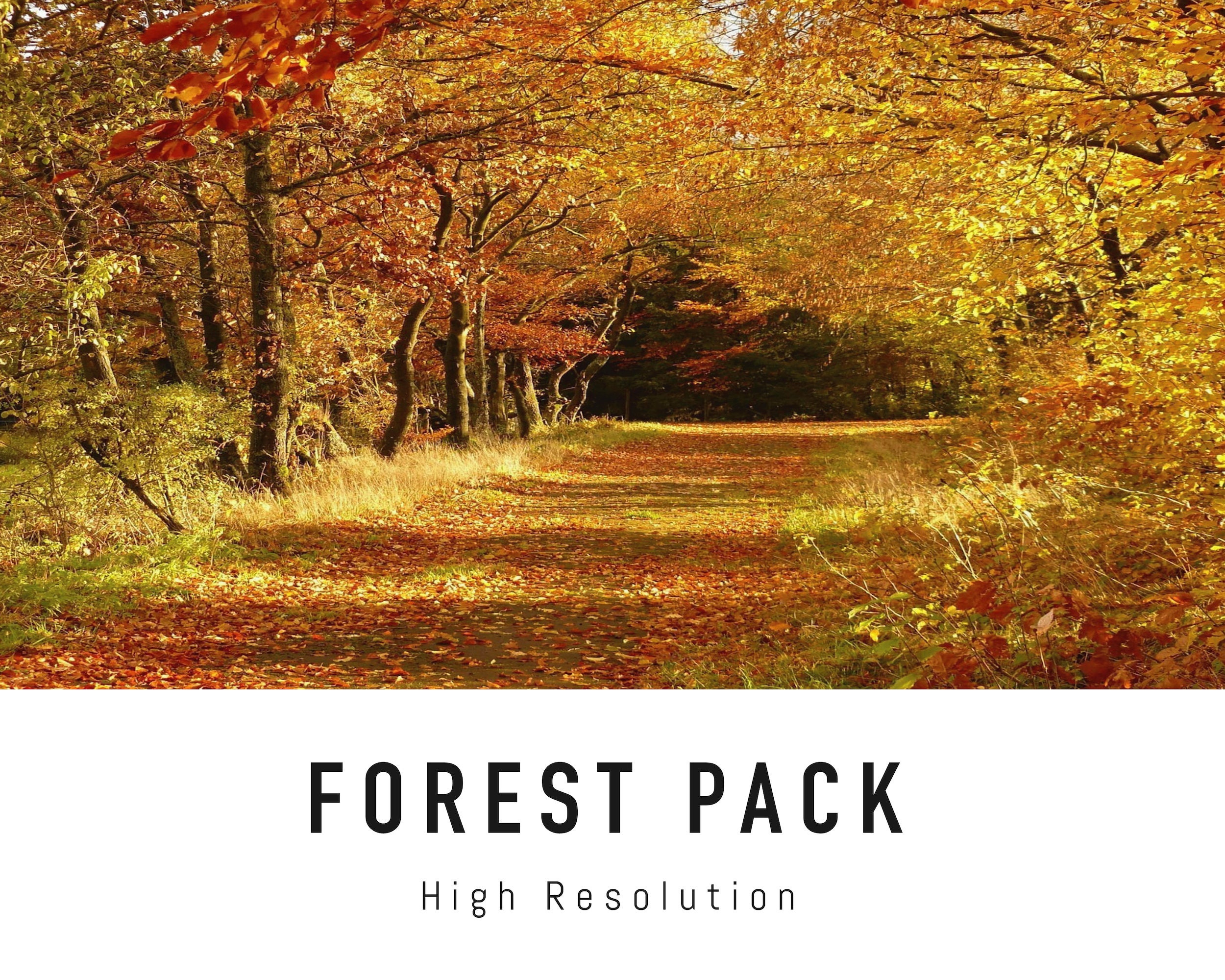 Forest Zoom Background Pack - 5 Nature Virtual Background Images for ...