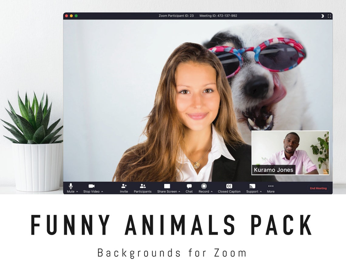 Funny Animals Zoom Background Pack - 5 Virtual Background Images for ...