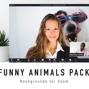 Funny Animals Zoom Background Pack - 5 Virtual Background Images for ...