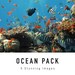 Ocean Zoom Background Pack 5 Sea Virtual Background Images for Zoom ...