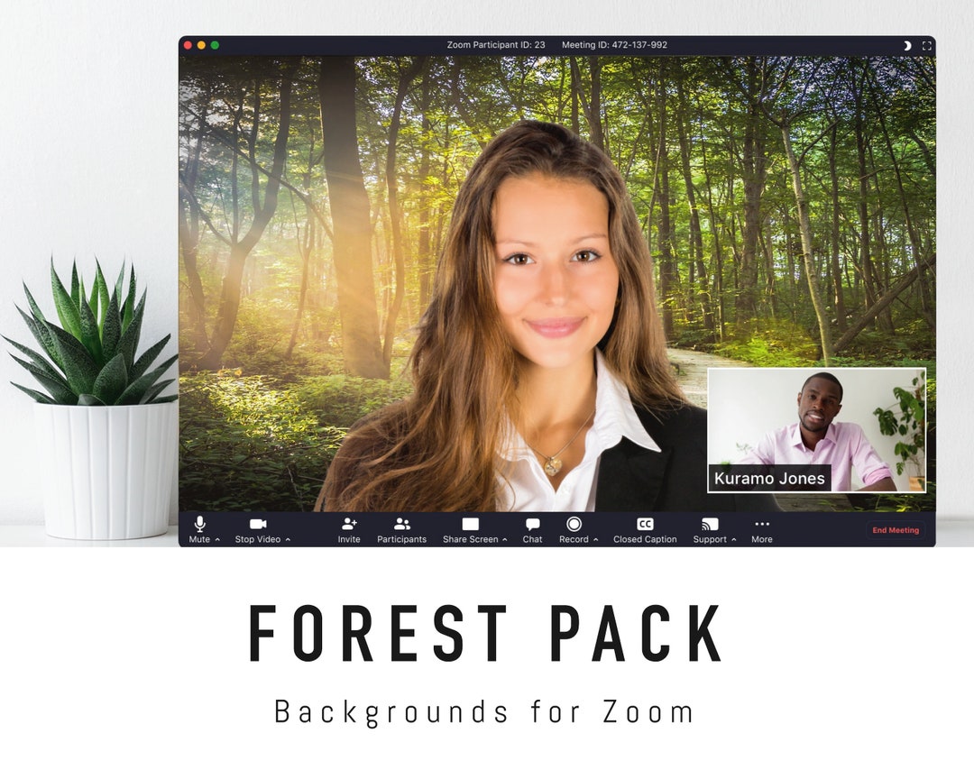 Forest Zoom Background Pack - 5 Nature Virtual Background Images for ...