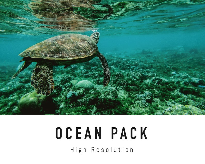 Ocean Zoom Background Pack - 5 Sea Virtual Background Images for Zoom ...