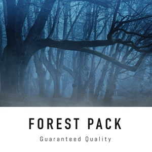 Forest Zoom Background Pack - 5 Nature Virtual Background Images for ...