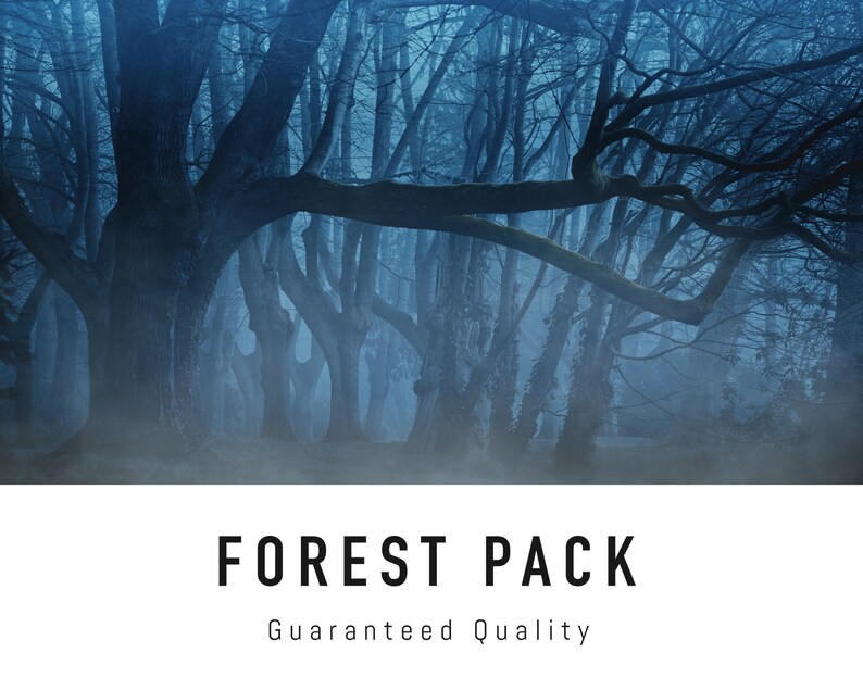 Forest Zoom Background Pack - 5 Nature Virtual Background Images for ...