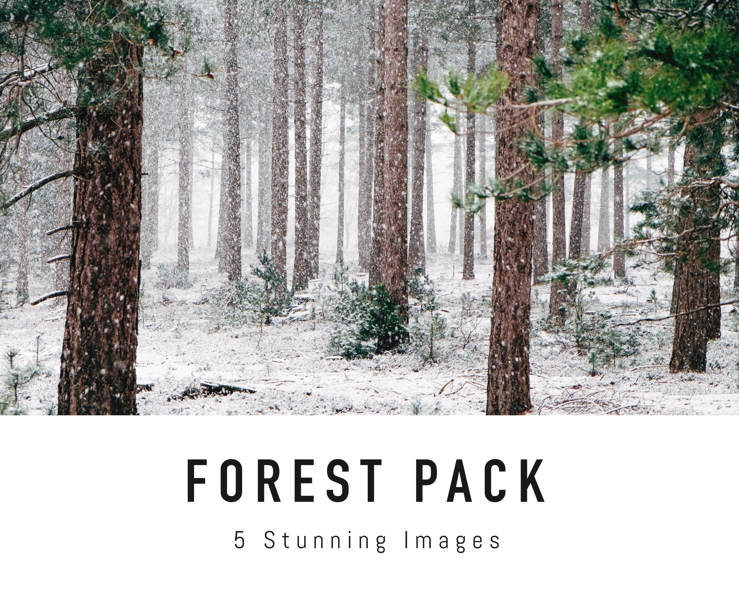 Forest Zoom Background Pack - 5 Nature Virtual Background Images for ...