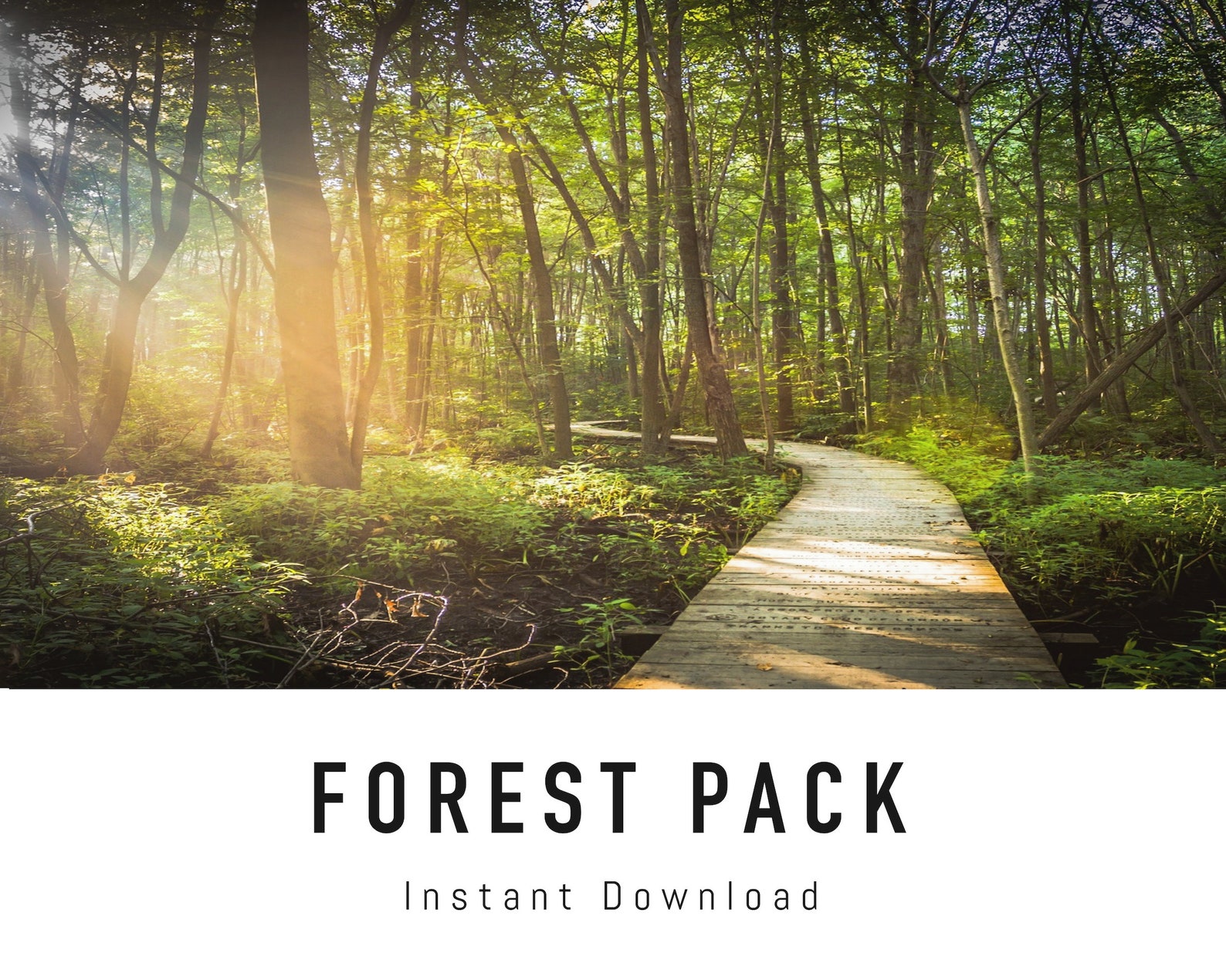 Forest Zoom Background Pack - 5 Nature Virtual Background Images for ...