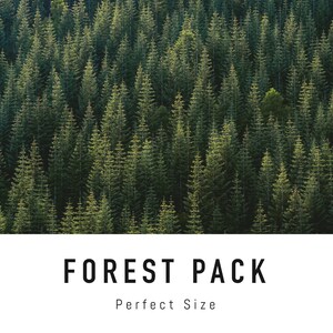 Forest Zoom Background Pack - 5 Nature Virtual Background Images for ...
