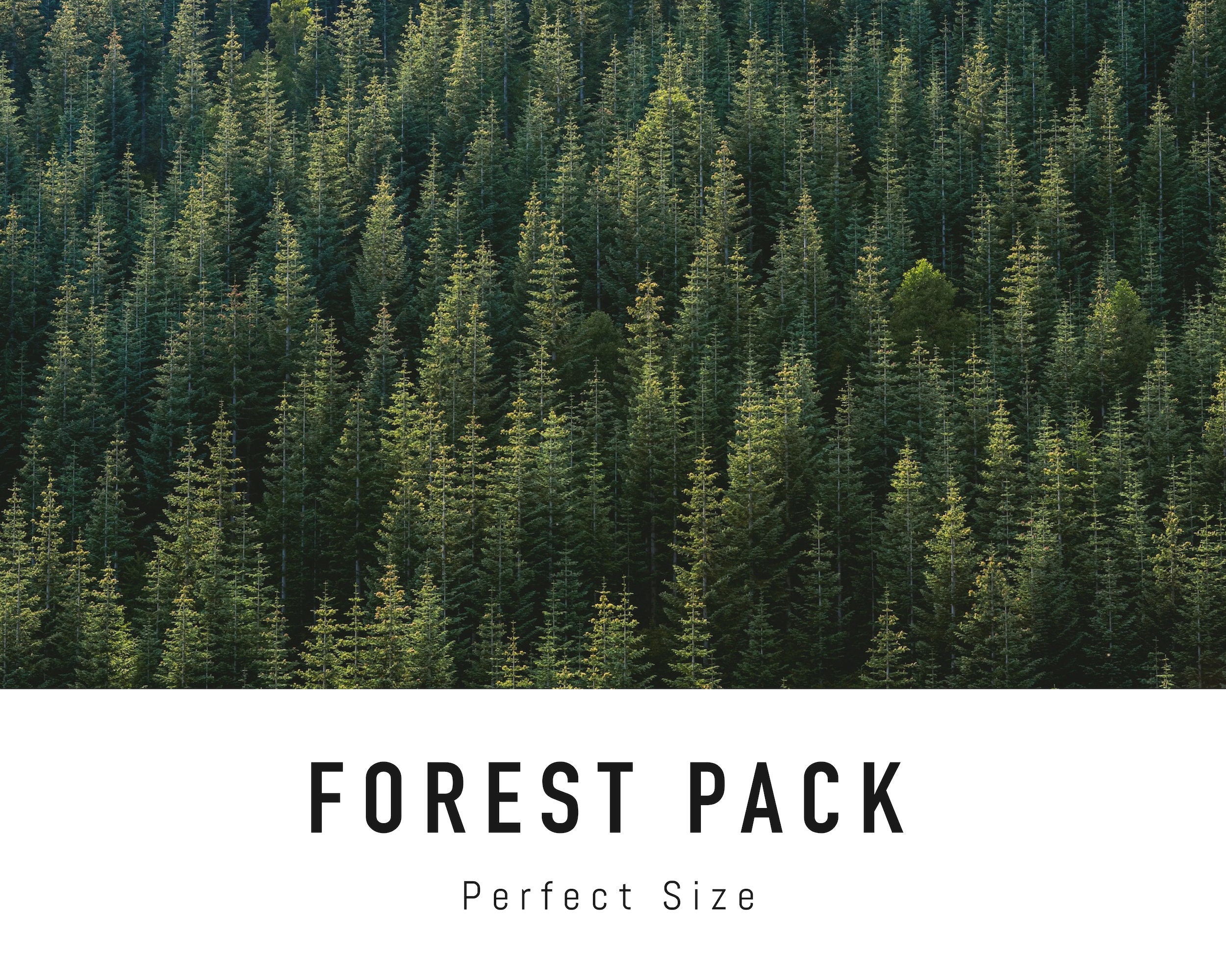 Forest Zoom Background Pack - 5 Nature Virtual Background Images for ...