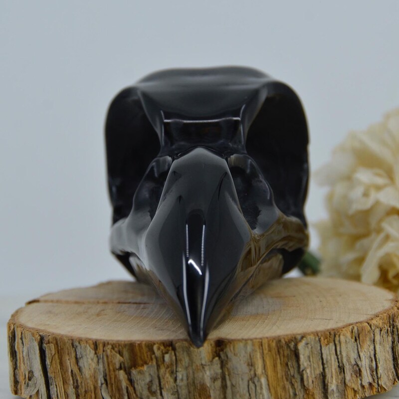 Raven Skull - Etsy
