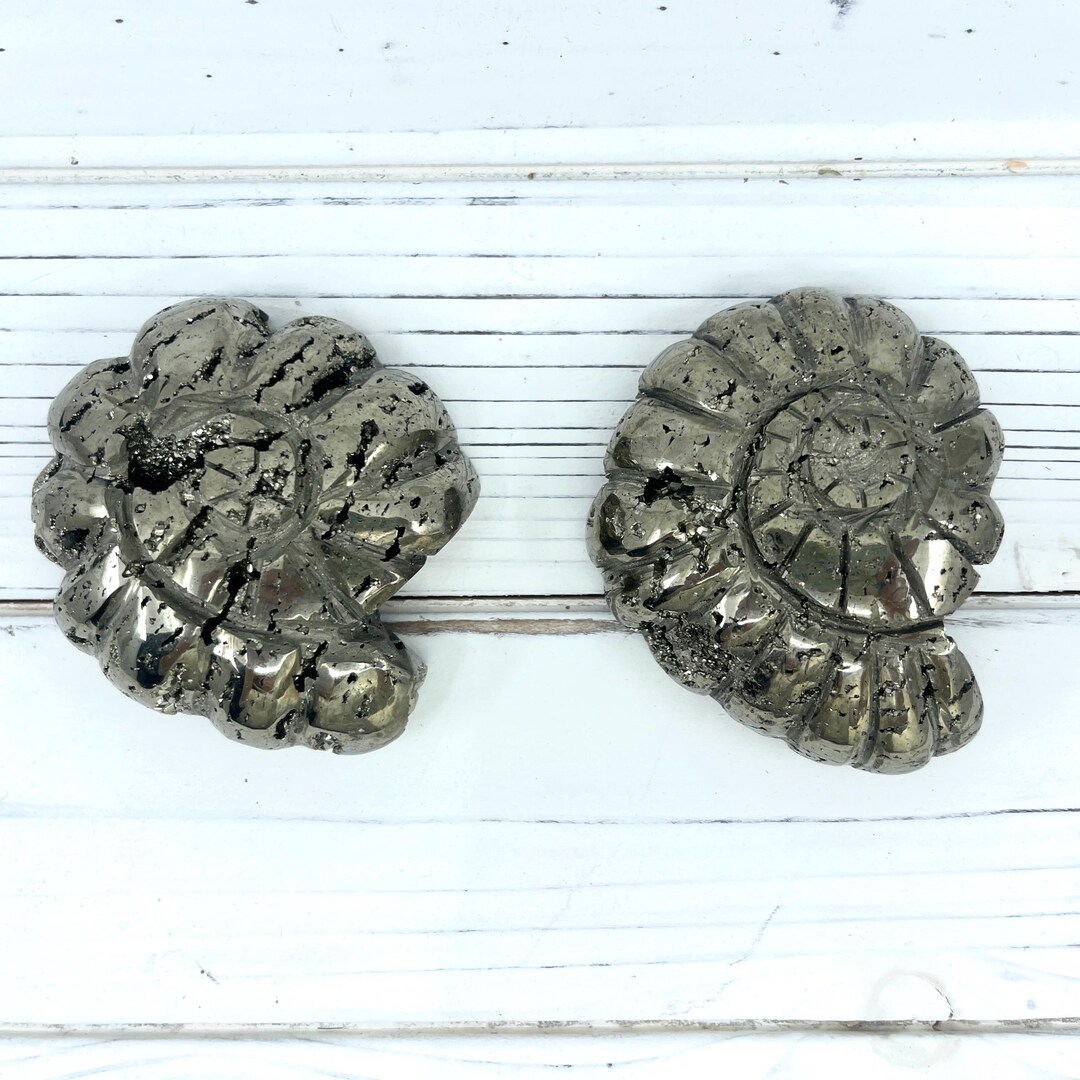 Large Pyrite Crystal Ammonite Carving - Etsy
