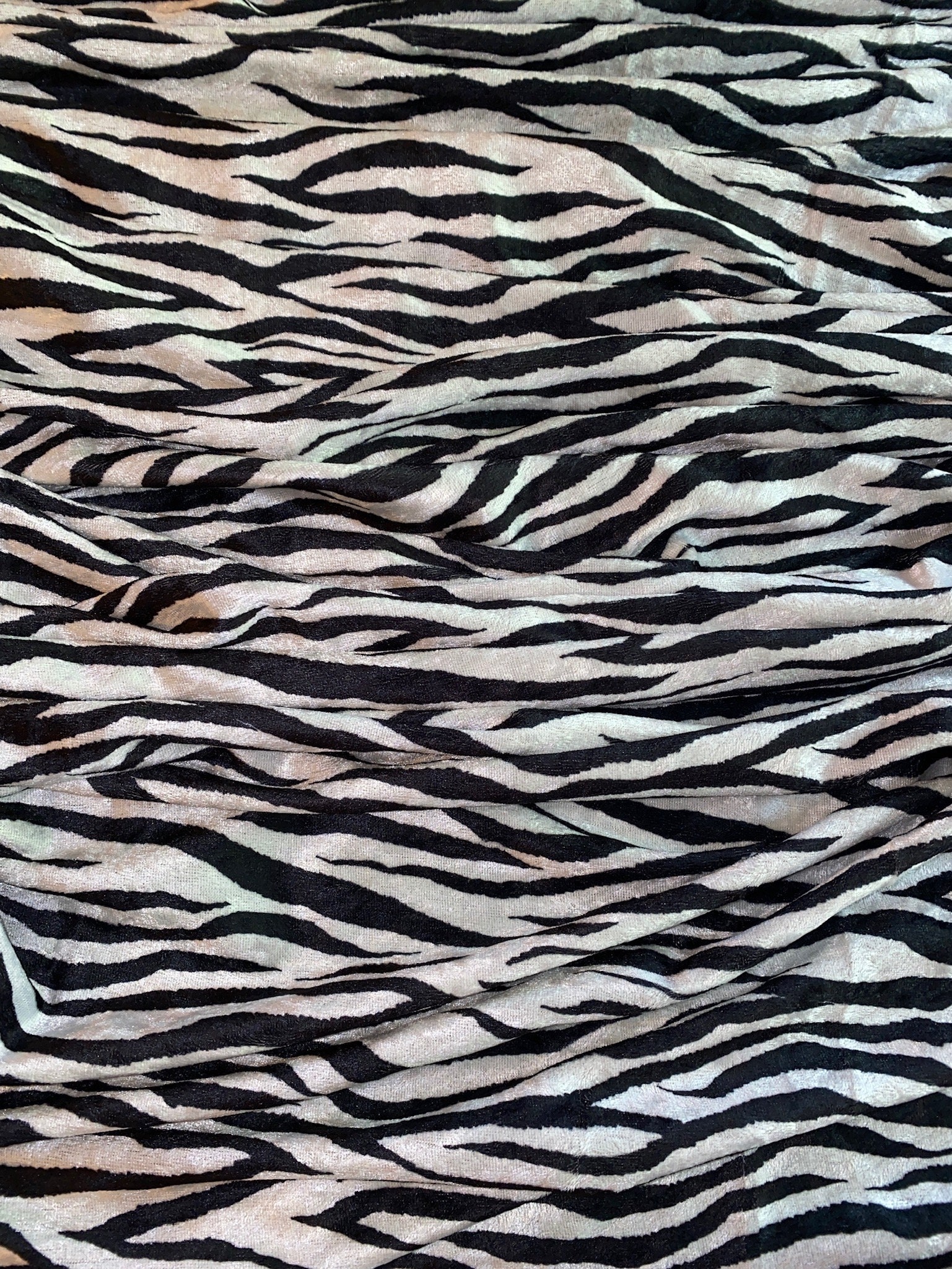 Zebra Material By The Yard at Sandra Slavin blog