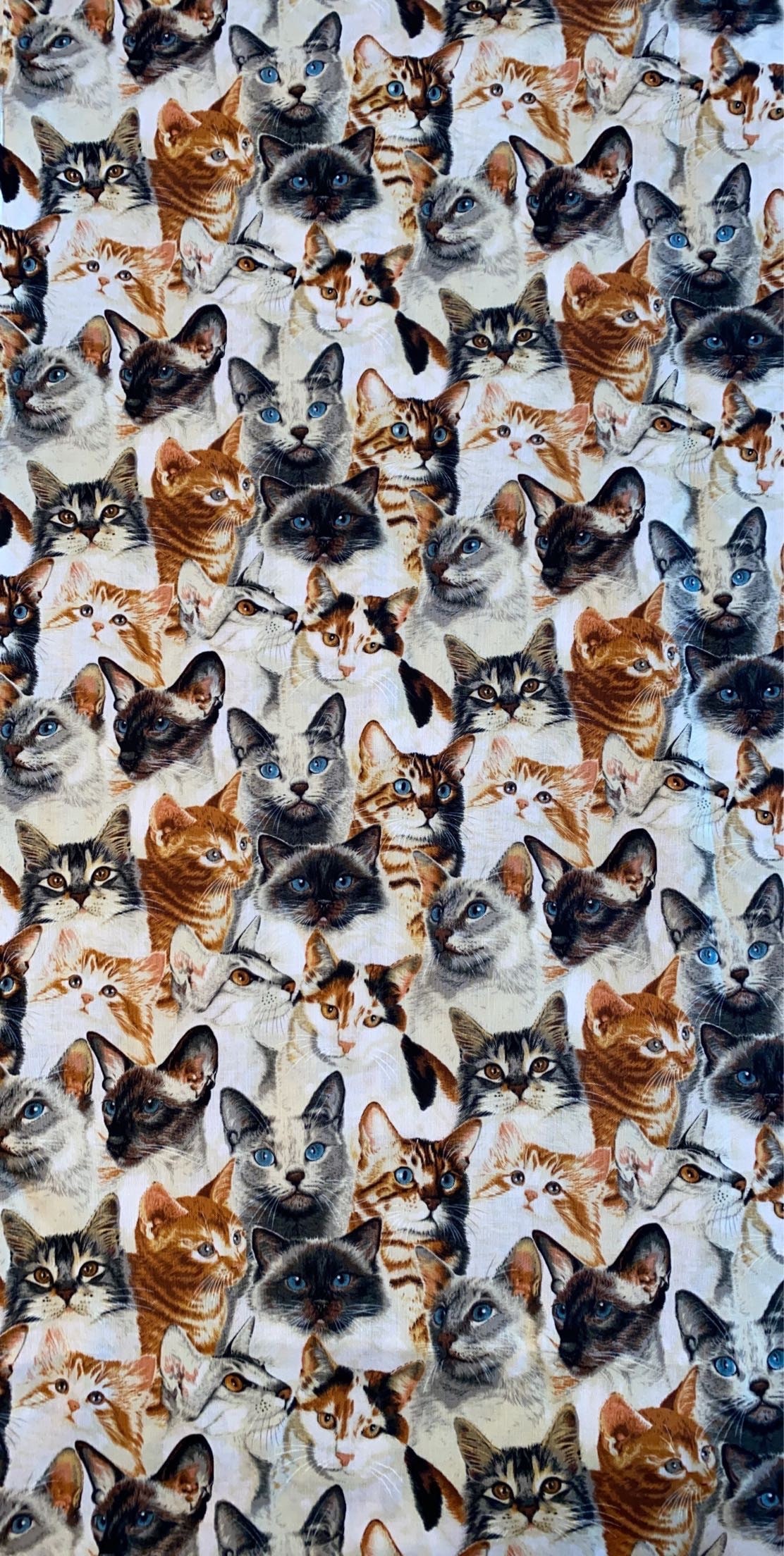 Cute Cat Print Cotton Fabric By The Yard Pretty Kitten Cotton | Etsy