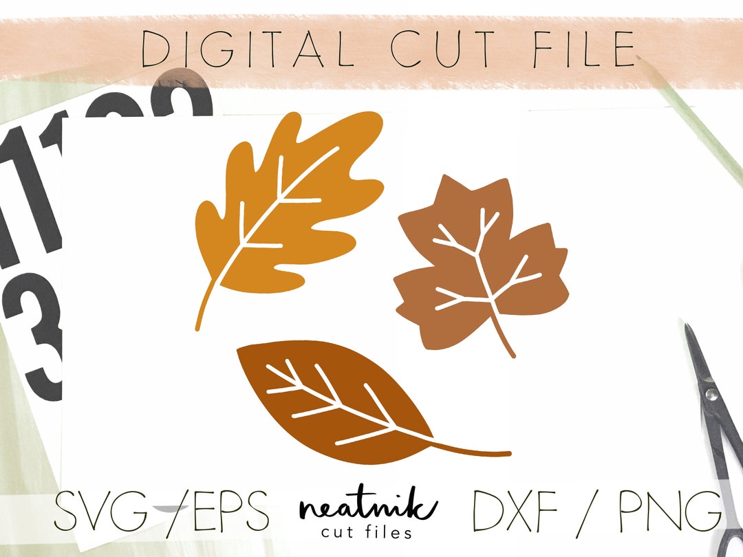 Autumn Leaves SVG Fall Leaves SVG Leaves SVG Leaf Cut File Bundle Png ...