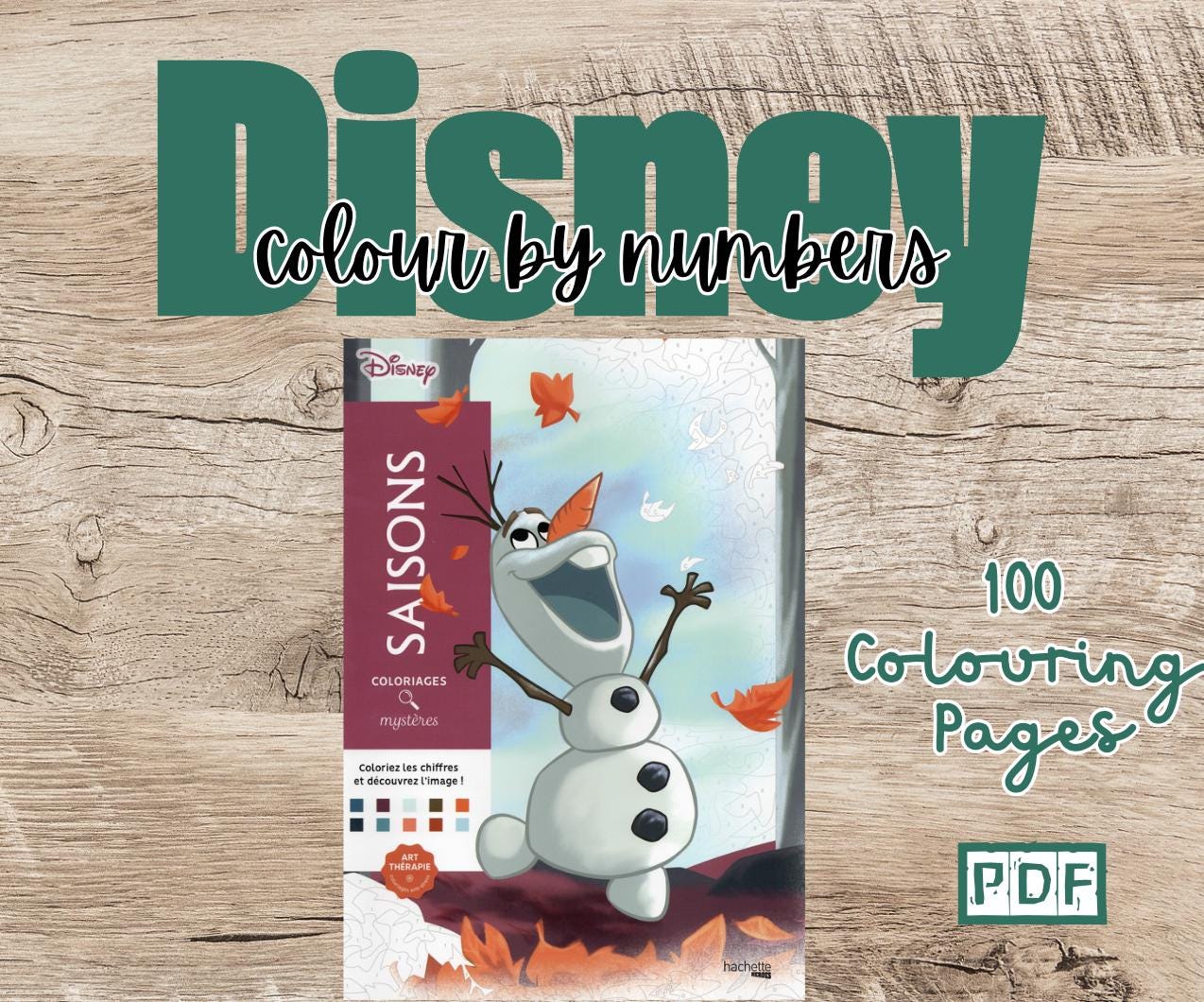 Frozen Colour By Numbers
