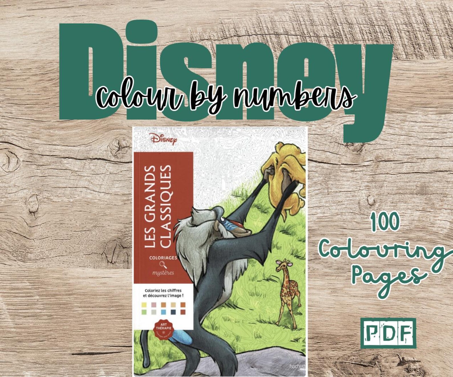 DIGITAL - Disney Mystery Colour by Numbers - Les Grands Classiques - Etsy