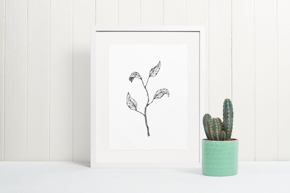 Botanic Art Print Pen and Ink Drawing Tree Art Leaf Drawing | Etsy