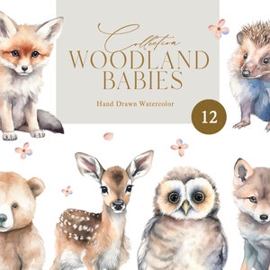 Woodland Animals Clipart, Watercolor Forest Babies, Baby Shower Nursery ...