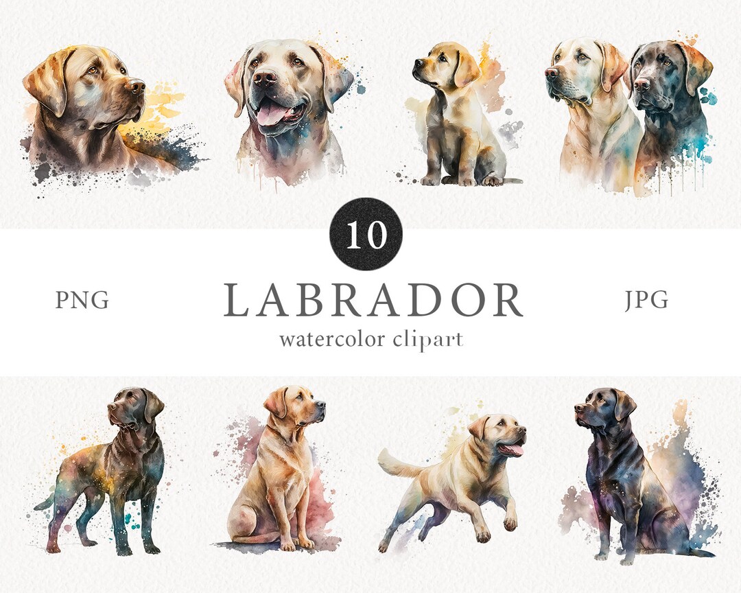 Labrador Black Golden Clip Art Portrait, Watercolor Labrador, Puppy ...