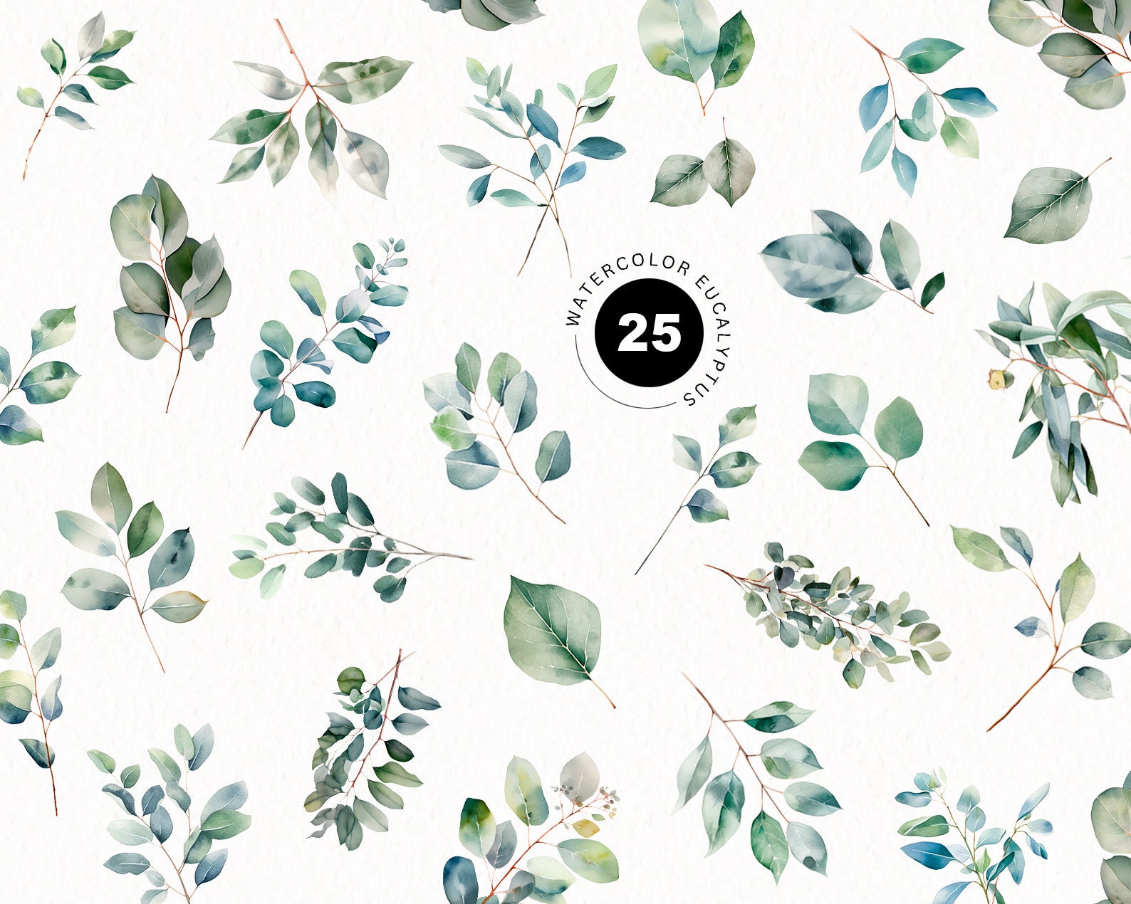 Eucalyptus Watercolor Clipart - Greenery Leaves Clipart - Foliage ...