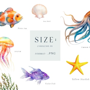 Watercolor Sea Life, Ocean Animals PNG, Sea Creatures, Jellyfish, Shark ...