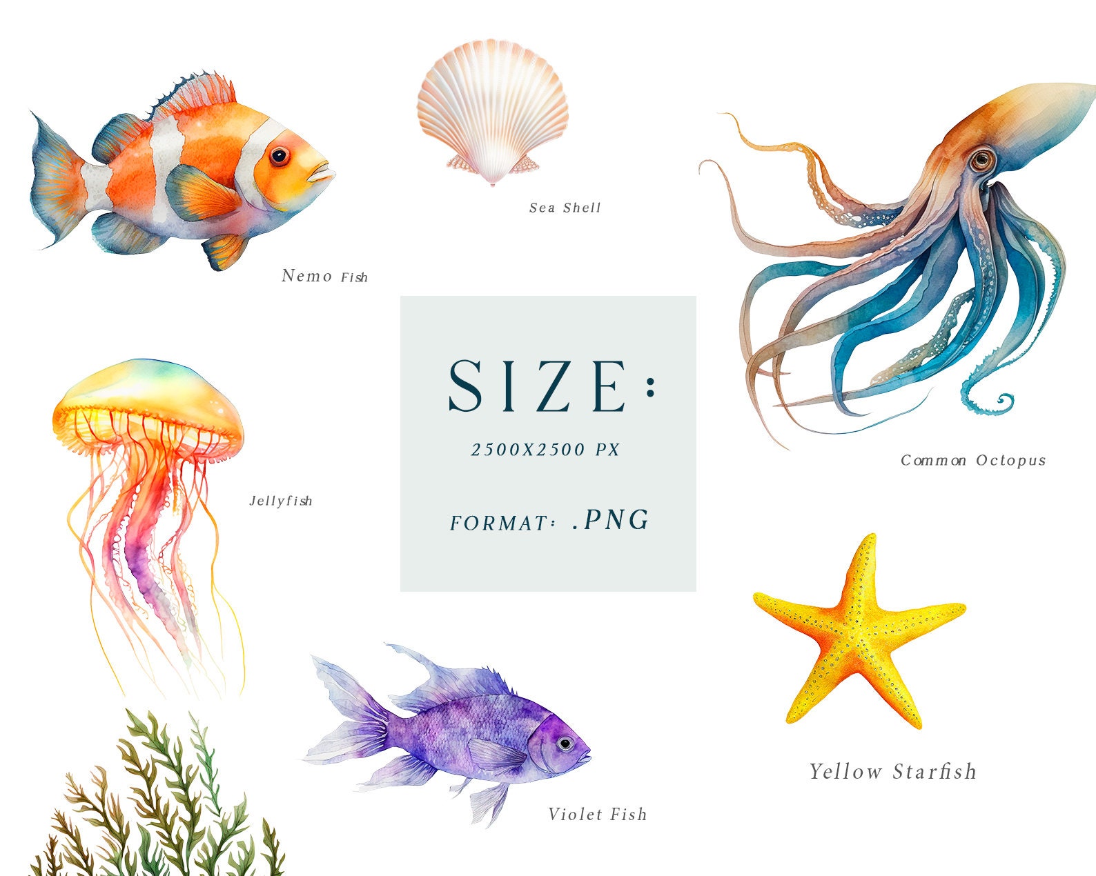 Watercolor Sea Life, Ocean Animals PNG, Sea Creatures, Jellyfish, Shark ...
