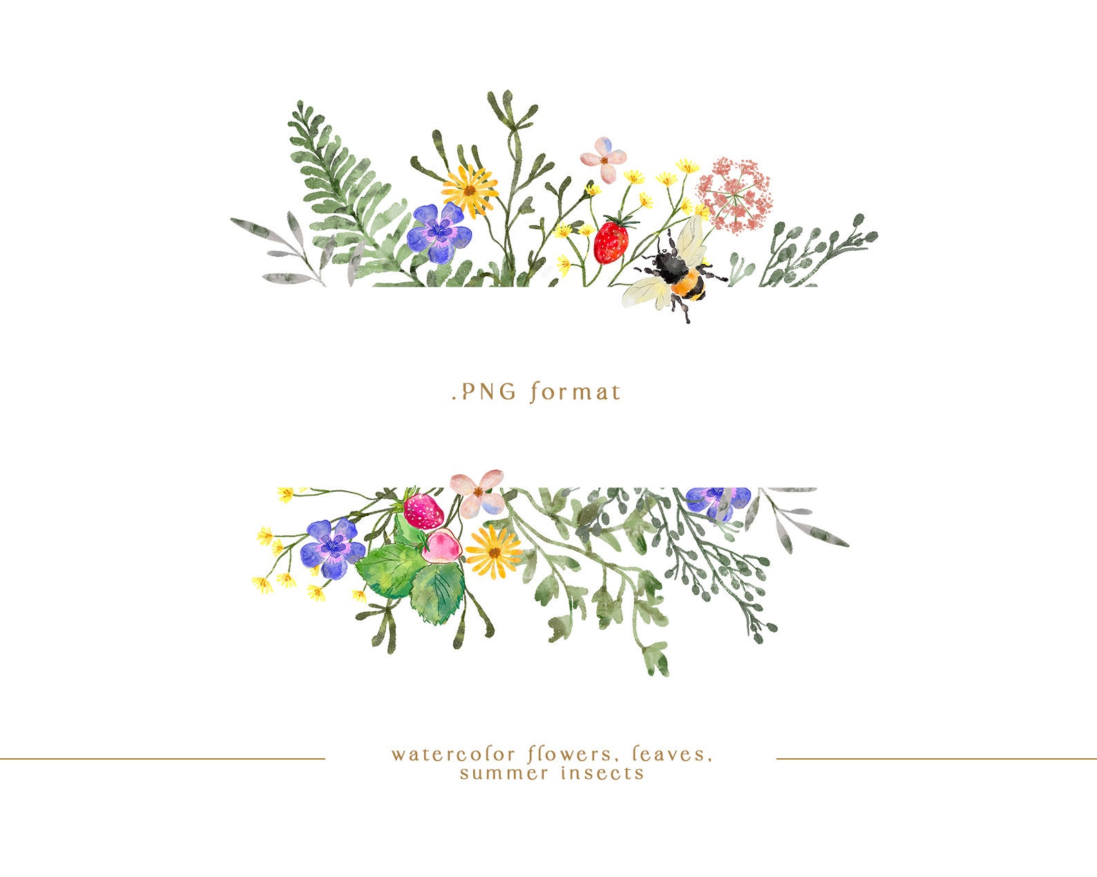 Wildflower Border Flower Clipart Watercolor Wild Flower - Etsy