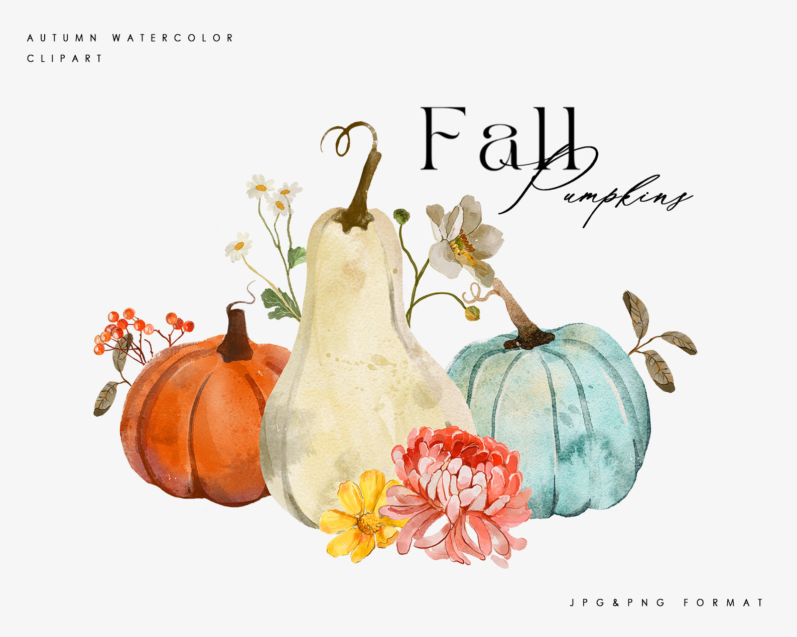 Watercolor Pumpkin Clipart, Thanksgiving Decor, Autumn Pumpkins, Floral ...