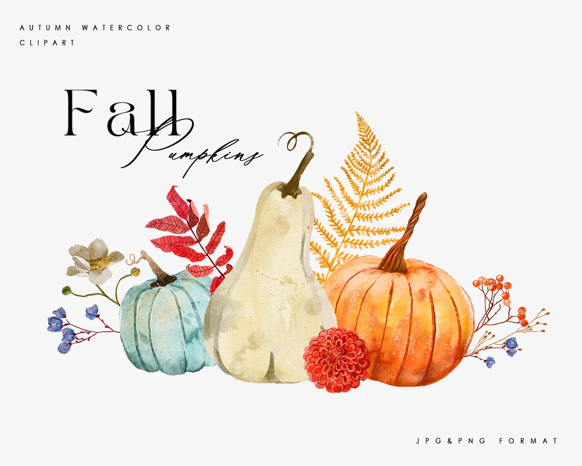 Watercolor Pumpkin Clipart Thanksgiving Decor Autumn - Etsy
