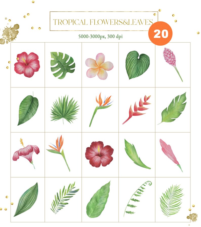 Watercolor Tropical Flowers and Leaves Clipart, Tropical Plants, Jungle ...