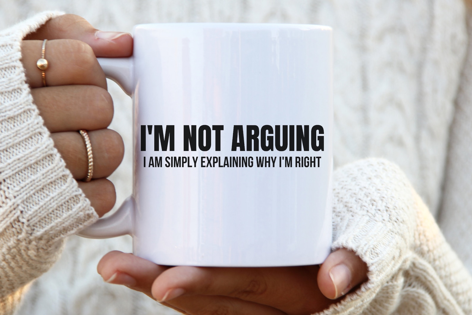 Im Not Arguing I'm Simply Explaining Why I'm Right Mug - Etsy