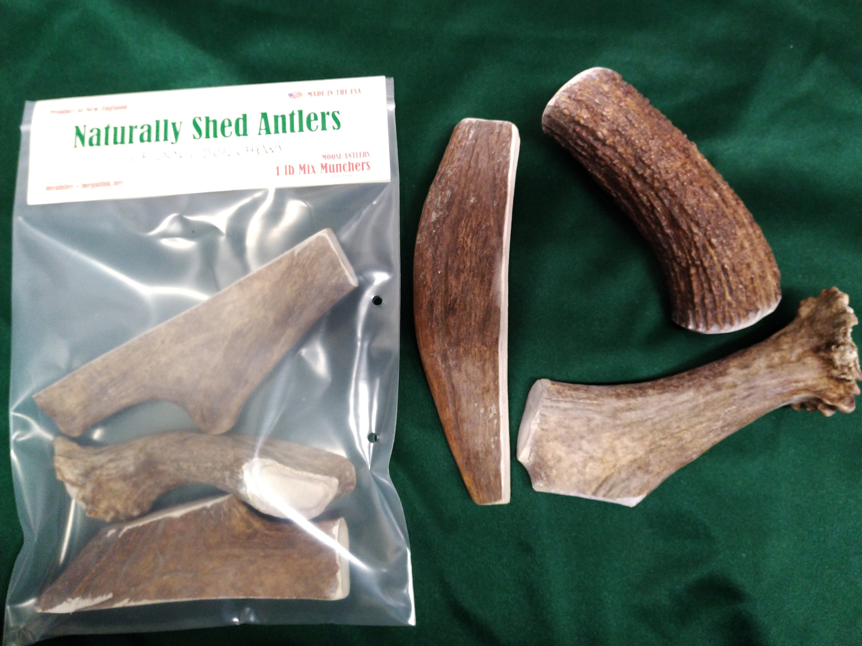 Moose Antler Dog Chews - Etsy