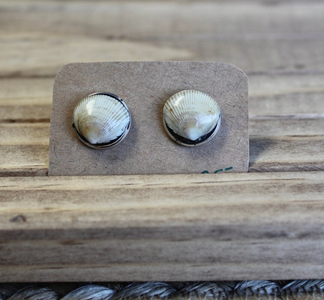 Baby Clam Shells - Etsy