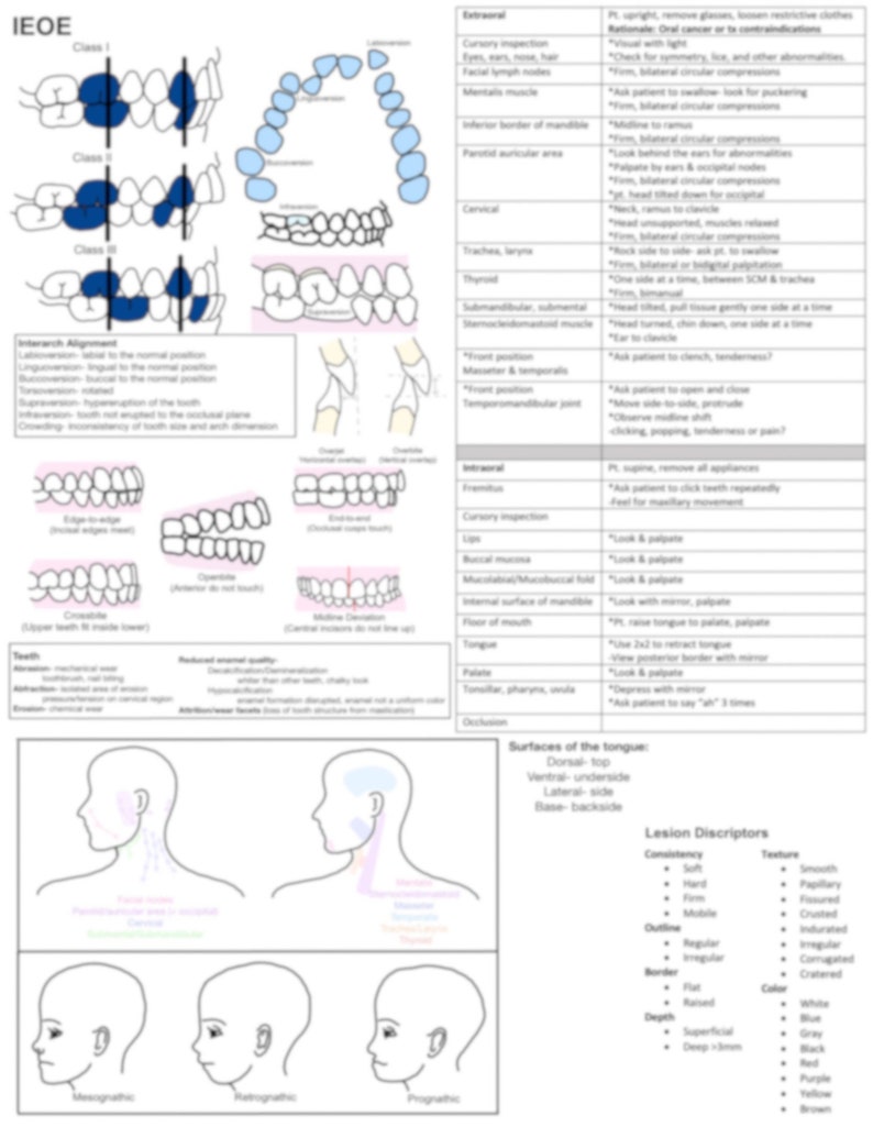 Intraoral Extraoral Exam, IOEO, EOIO, IEOE, Study Guide, Reference ...