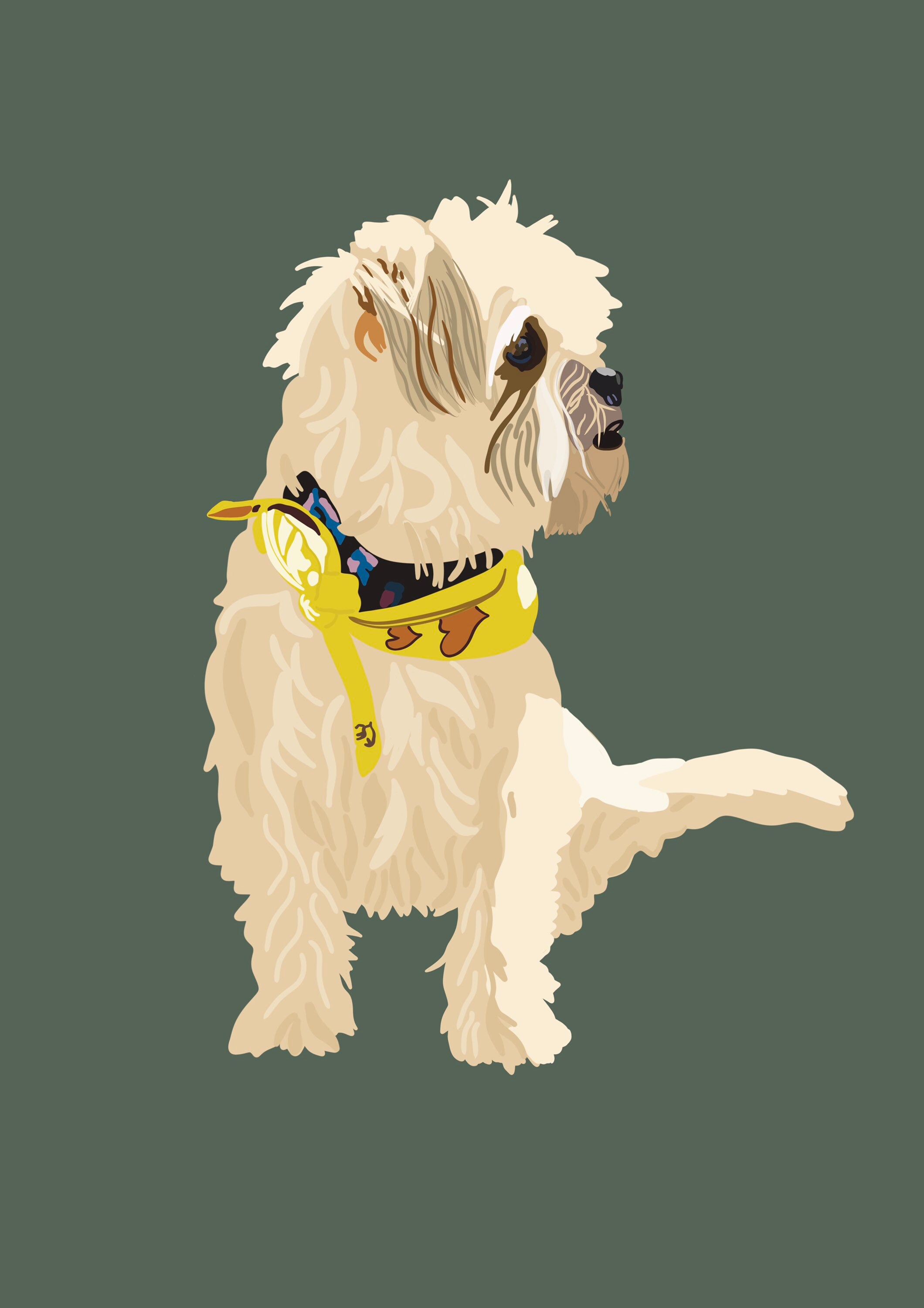 Custom Pet Illustration Pet Portrait Pet Illustration - Etsy