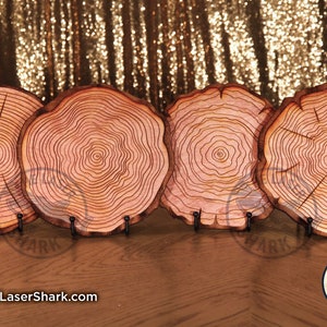 Tree Ring Backings SVG Laser Cut Files for Glowforge -laser Cutter ...