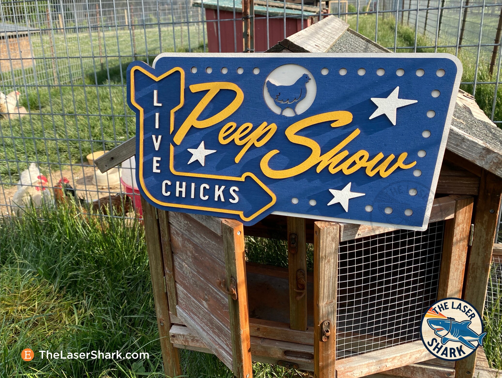 Peep Show Chicken Sign SVG Laser Cut Files for Glowforge - Laser Cutter ...
