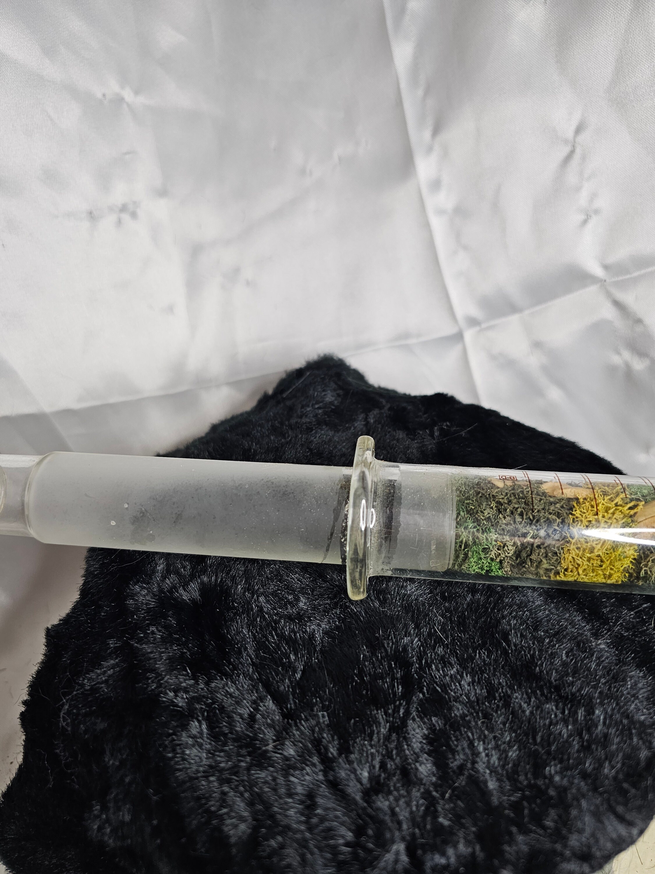 Rat Skull Syring Terrarium Glass Syringe - Etsy