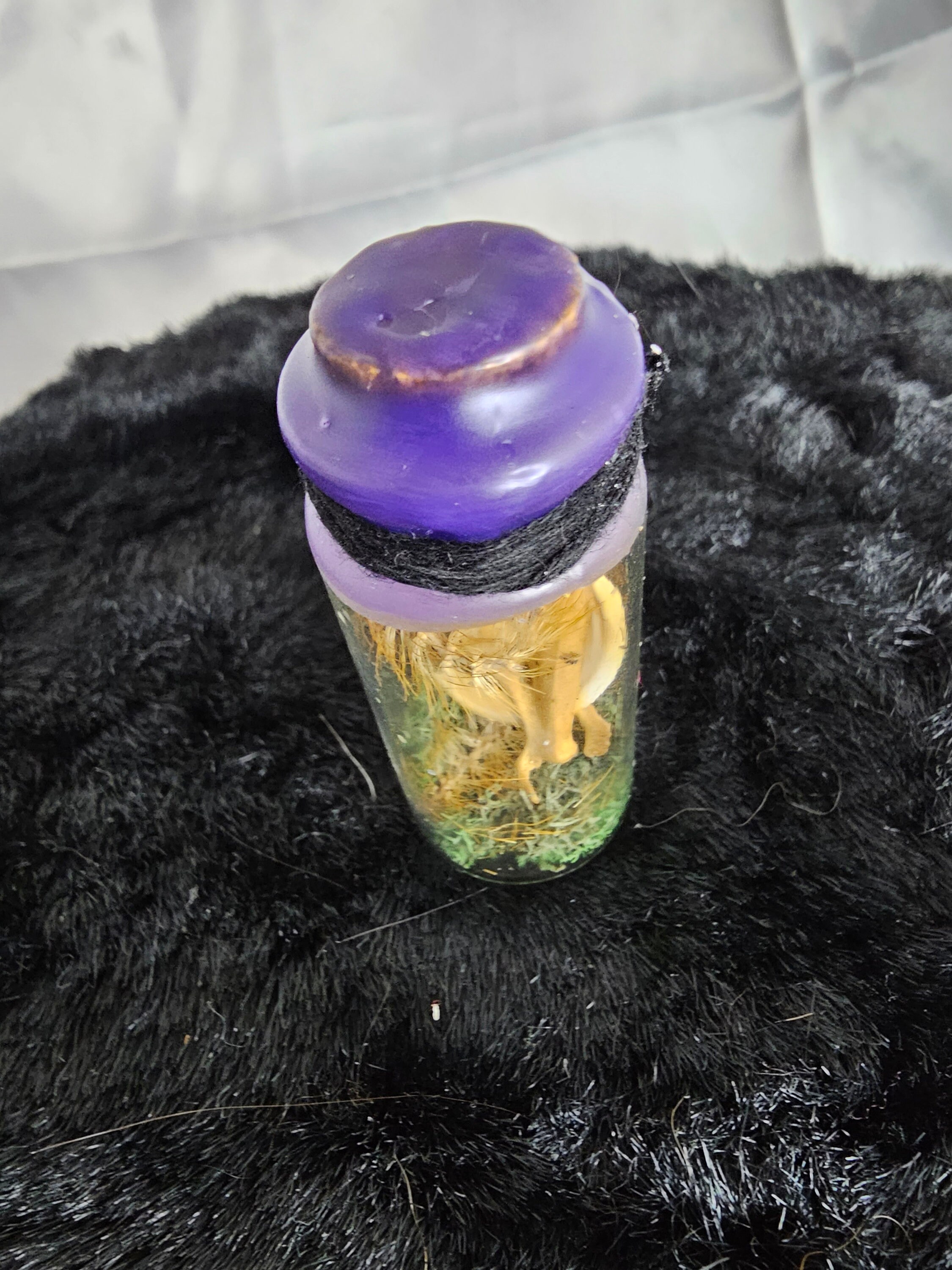 Rat Scapula and Tooth Terrarium - Etsy