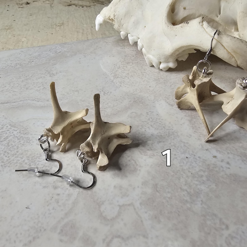 Bone Earrings - Etsy