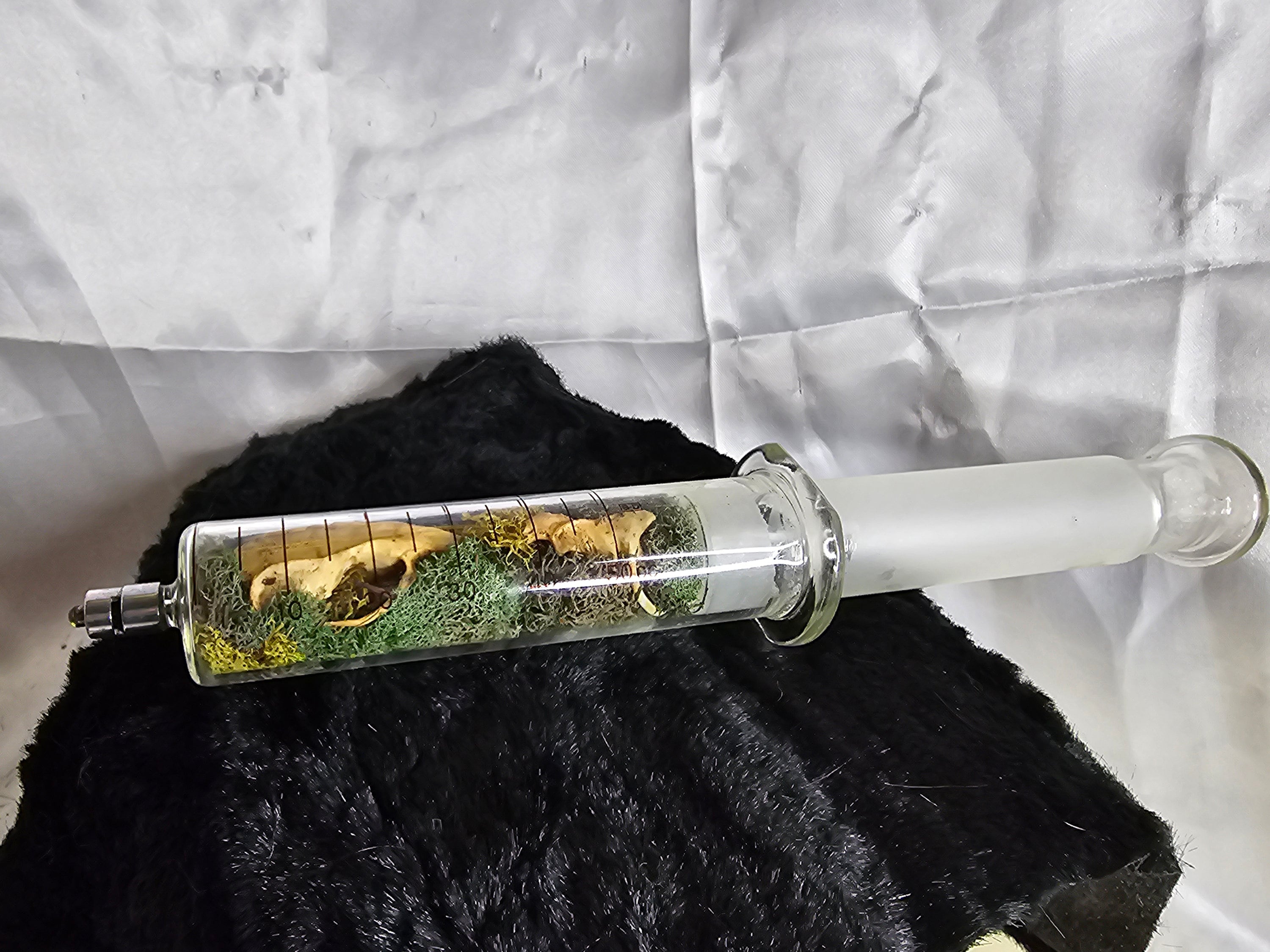 Rat Skull Syring Terrarium Glass Syringe - Etsy