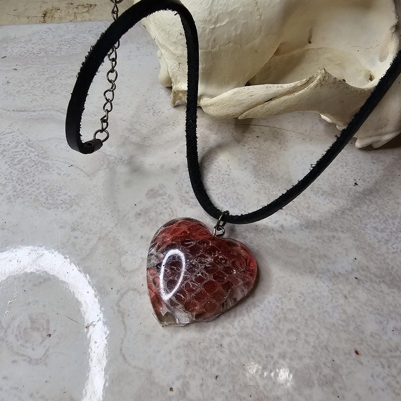 Snake Sheds - Etsy