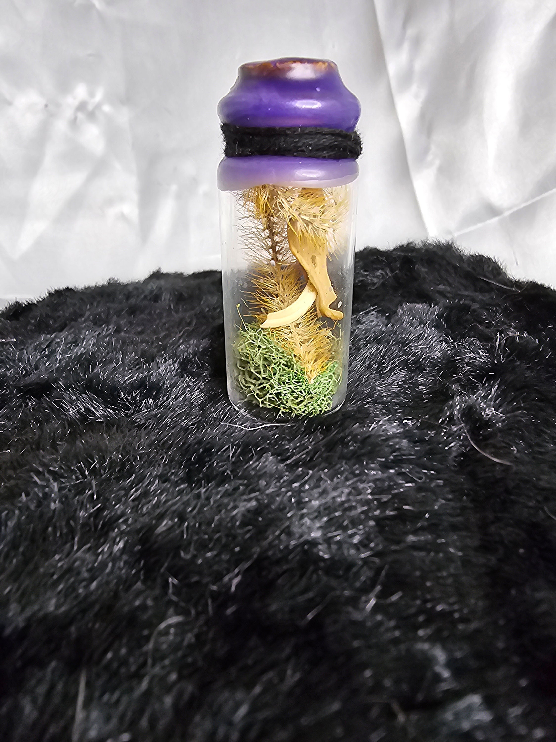 Rat Scapula and Tooth Terrarium - Etsy