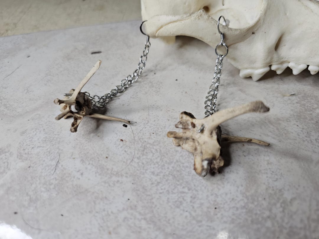 Large Rabbit Bone and Chain Earring - Etsy