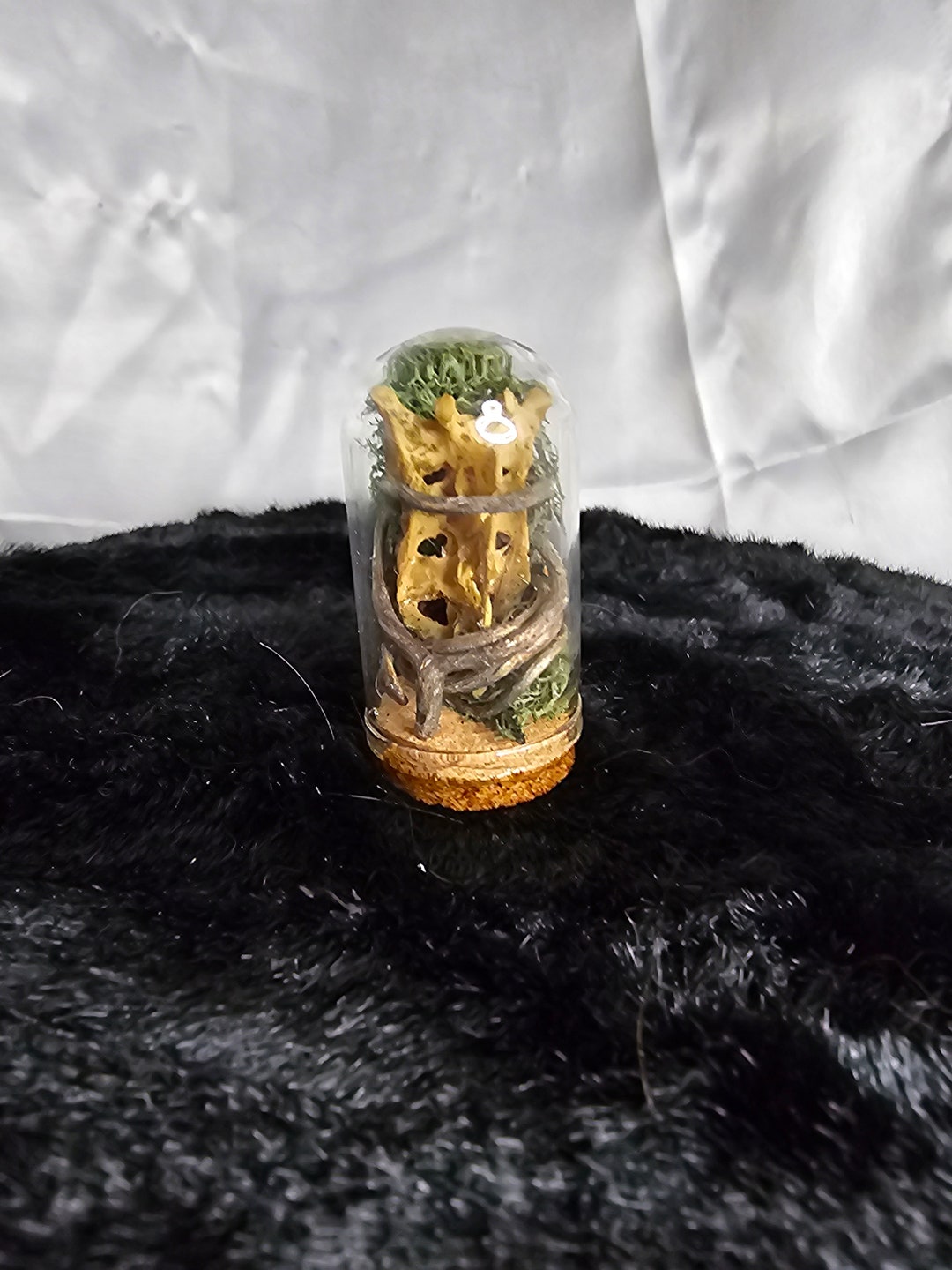 Rat Bone and Grapevine Clock Dome Terrarium - Etsy