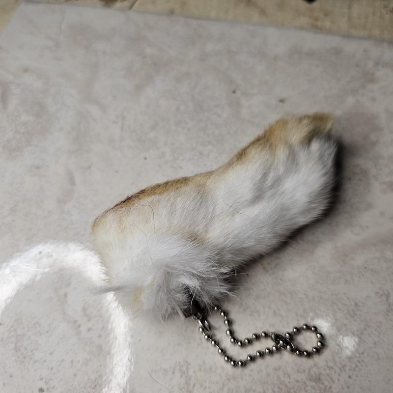 Rabbits Foot Keychain - Etsy